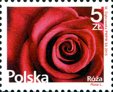 Kwiaty i owoce - Róża - Poczta Polska